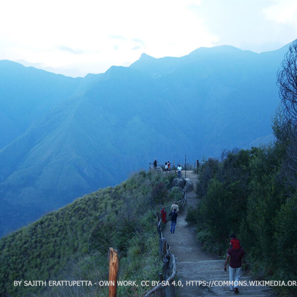 Top Station – Winternote Munnar – Your Perfect Resort in Munnar for ...